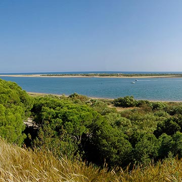 Flecha del Rompido: los kilómetros de playas naturales en Huelva son ...